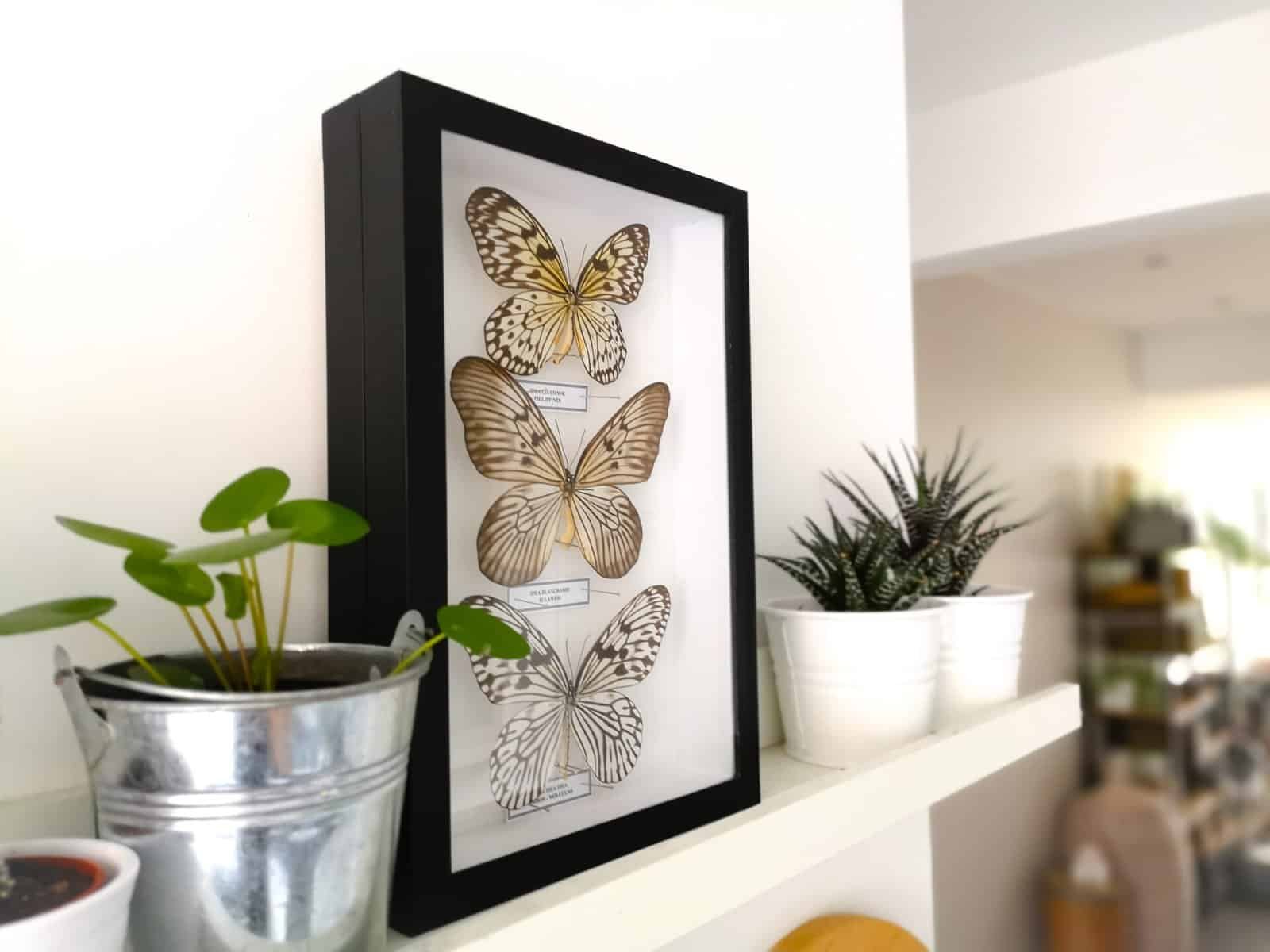 DIY Floating Picture Frames: Create a Stunning Modern Gallery Wall ...